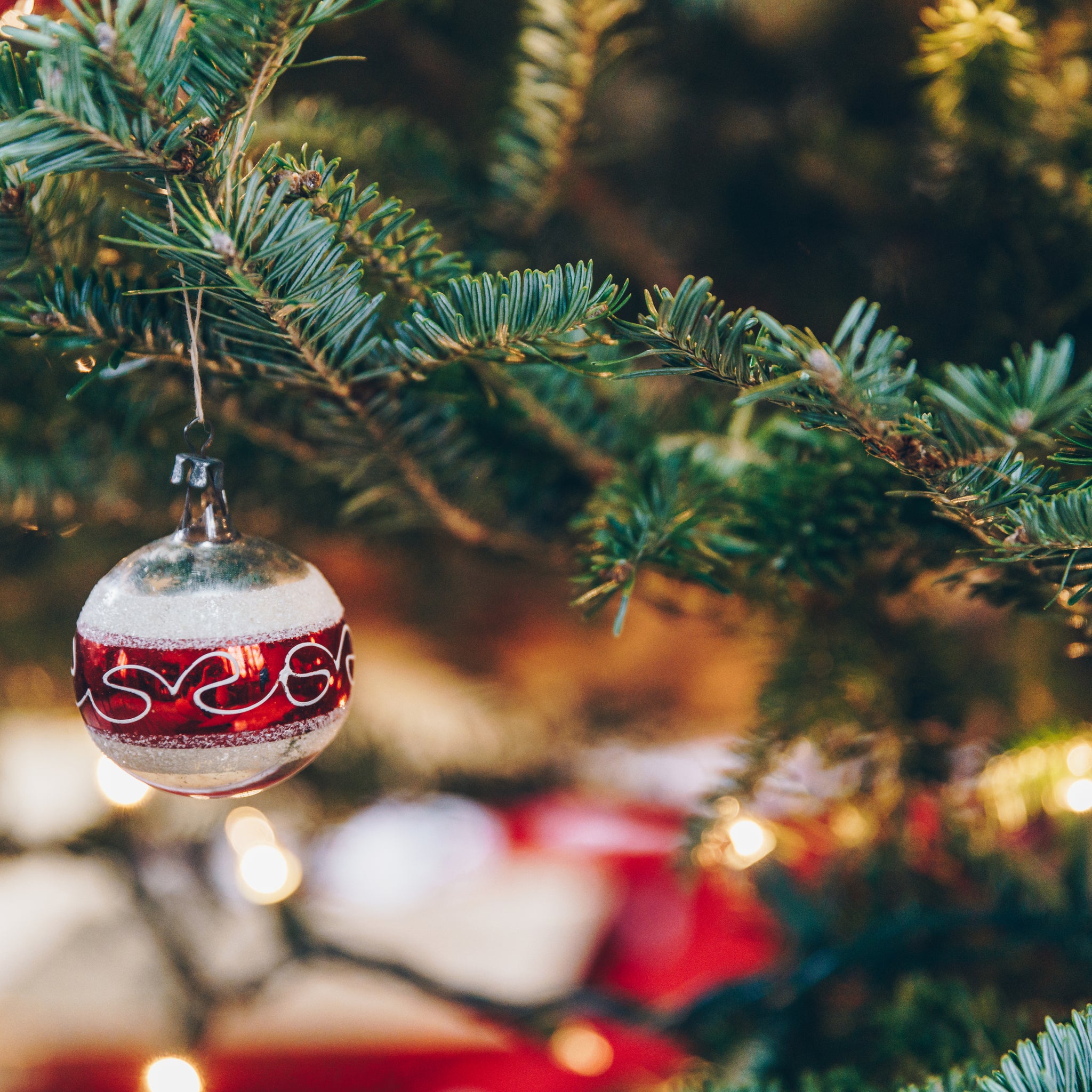 Dawns Flower Box Southampton - Florist Services & Flower Delivery